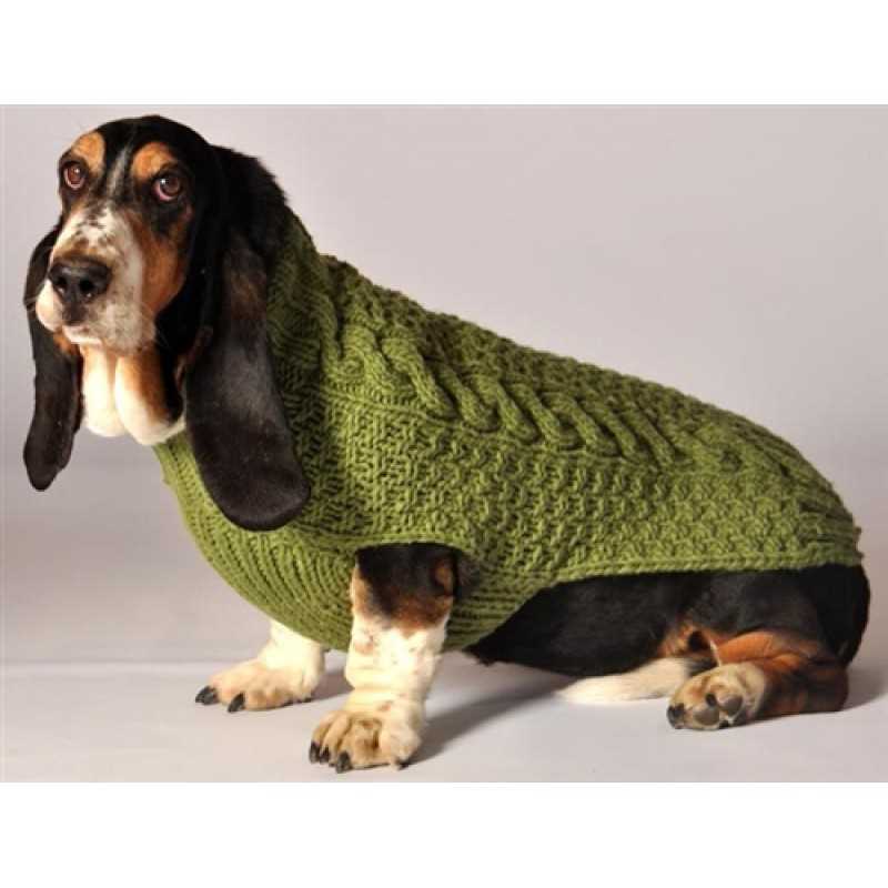 Cozy and Stylish: Knit an Extra Large Sweater for Your Big Pup