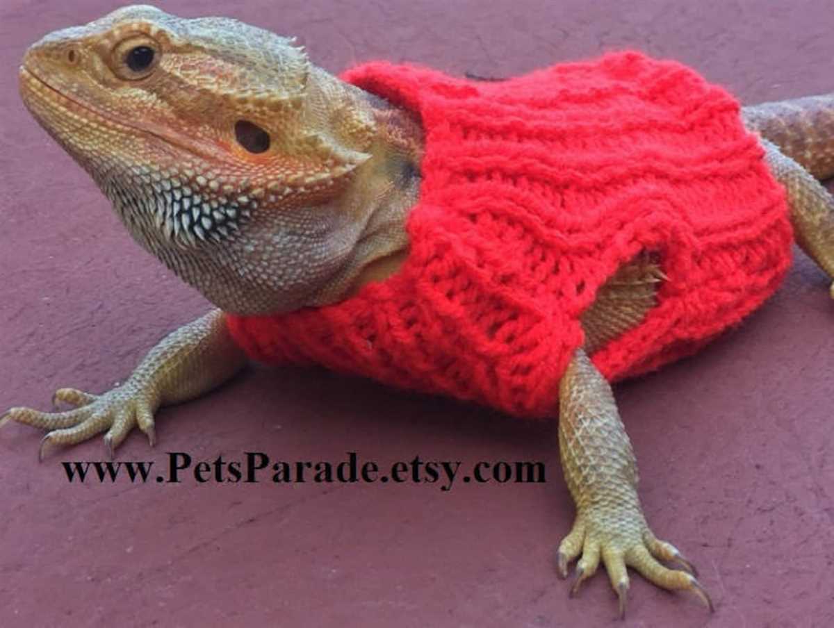 Knit Your Dragon a Cozy Sweater with This Free Pattern