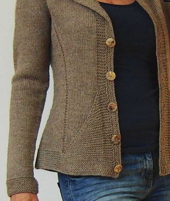 Cozy Companions: A Unique Blazer Knitting Pattern