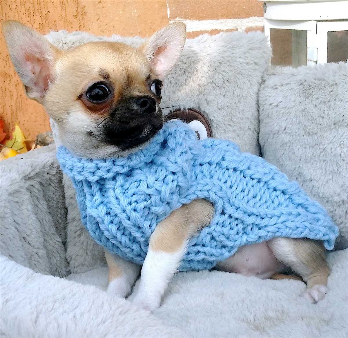 Cozy Knitwear for Your Chihuahua: Free Jumper Knitting Pattern