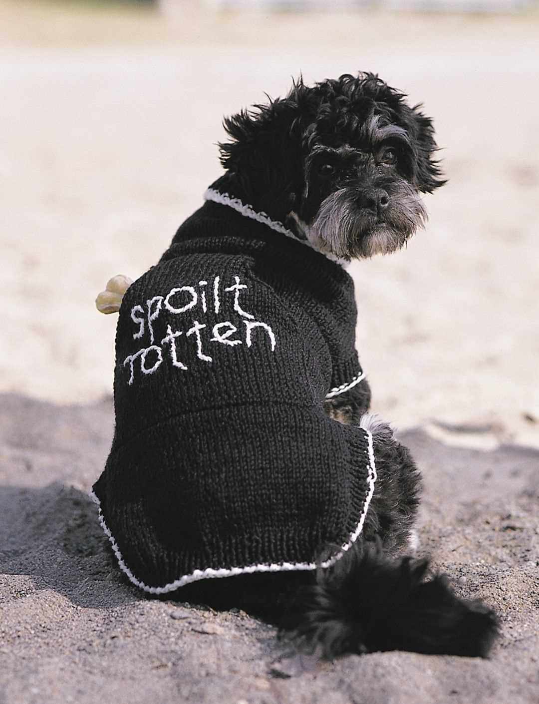 Cozy Canine Comfort: Knit Your Own Dog Blanket