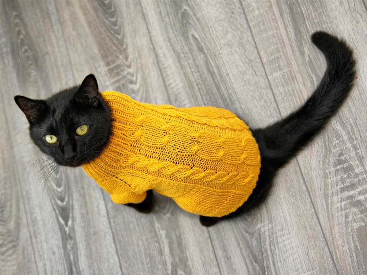Free Knitting Patterns for Cozy Cat Sweaters