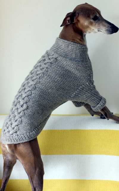 Knit Your Own Greyhound: Unique Pattern for Dog Lovers