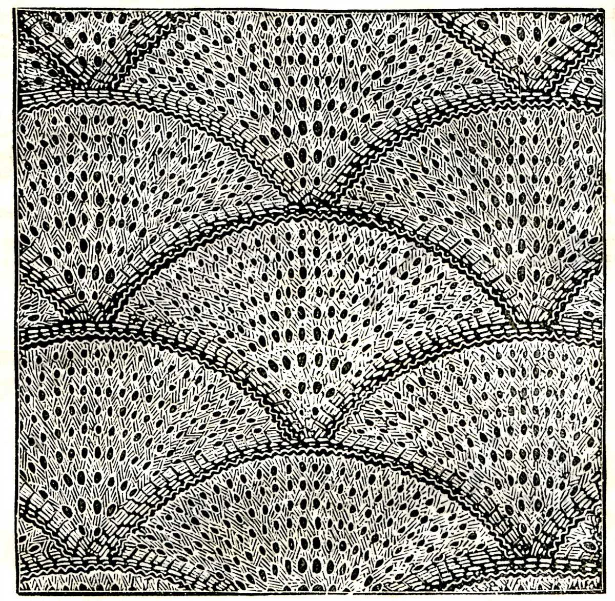 Exploring Unique Patterns in Knitted Shapes
