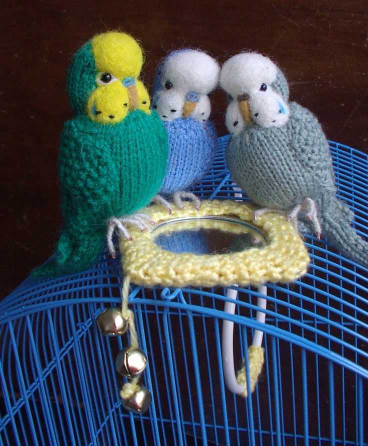 Stylish Patterns for Knitting Budgie