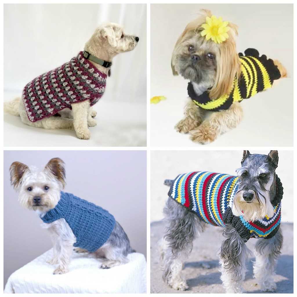 Cozy Canine Creations: Free Knitting Patterns for Dog Sweaters