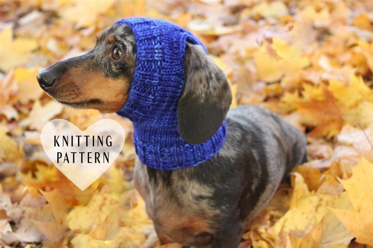 Cozy Dog Sweater: Knitting Pattern for Your Dachshund