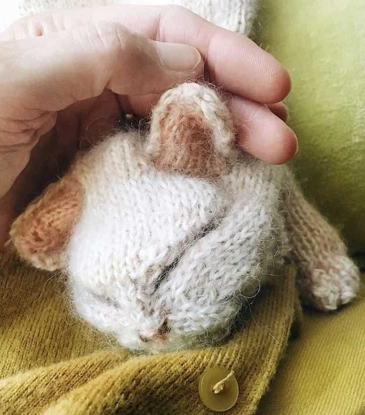 Easy Knitting Pattern for Petite Feline