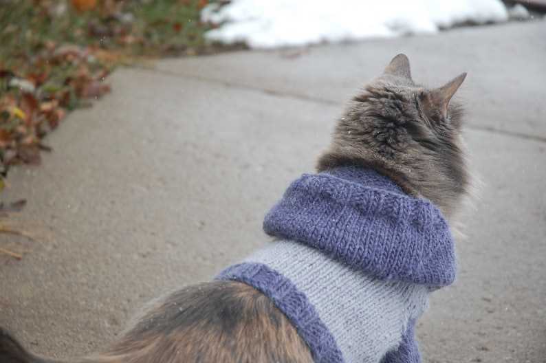 Cozy Kitty: Knit a Complimentary Sweater for Your Feline Friend