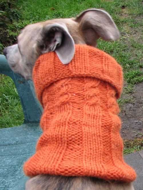 Knit Your Own Greyhound: Unique Pattern for Dog Lovers