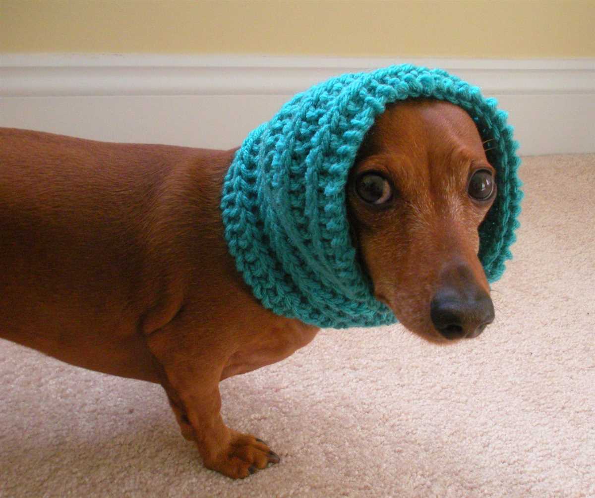 Cozy Canine: A Pattern for a Knitted Dog Neck Warmer