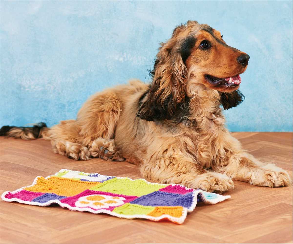 Cozy Canine Comfort: Knit Your Own Dog Blanket