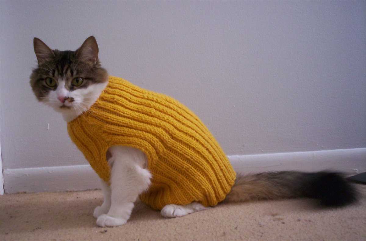 Cozy Kitty: Knit a Complimentary Sweater for Your Feline Friend