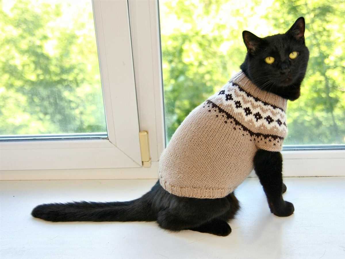 Knit a Cozy Jumper for Your Feline Friend