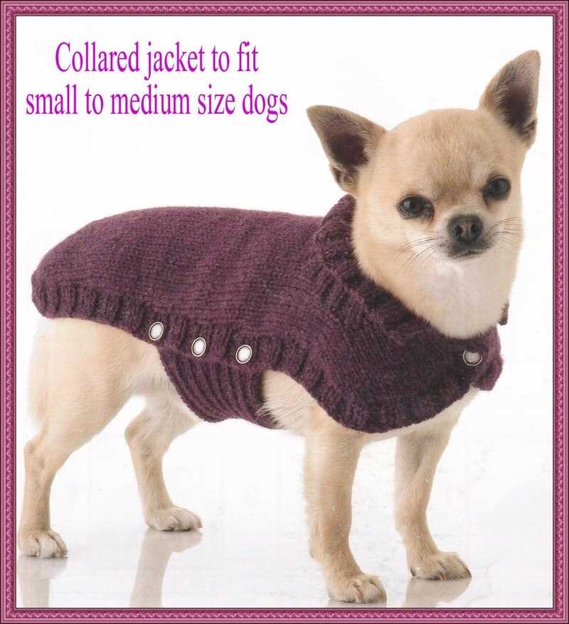 Simple Knitting Pattern for a Cozy Sweater for Your Small Dog