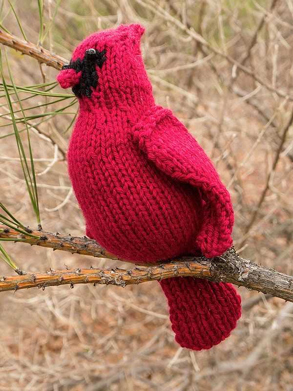 Stylish Patterns for Knitting Budgie