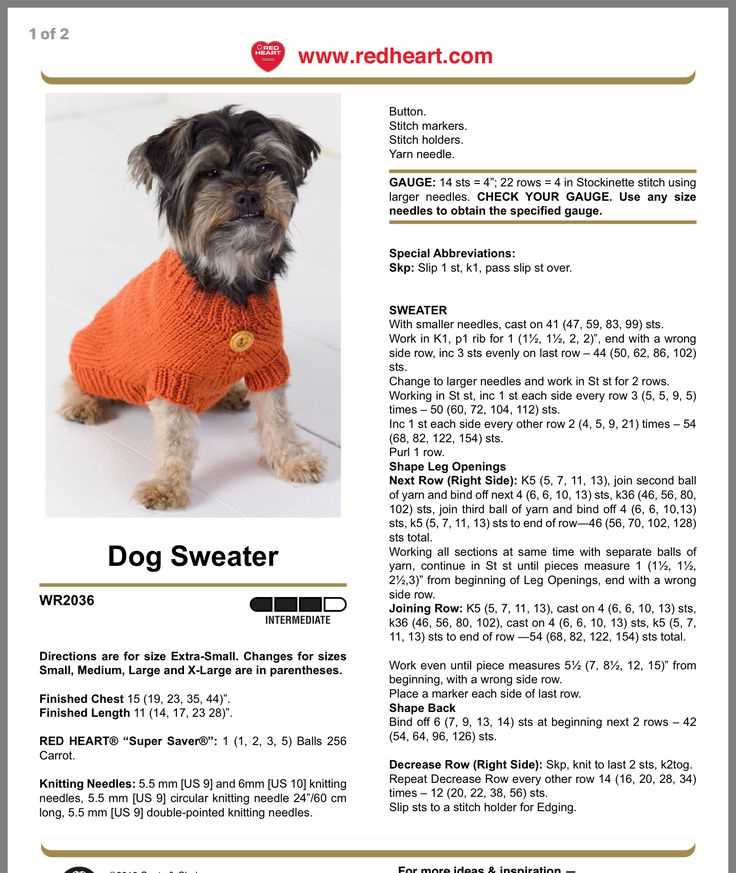 Simple Knitting Pattern for a Cozy Sweater for Your Small Dog