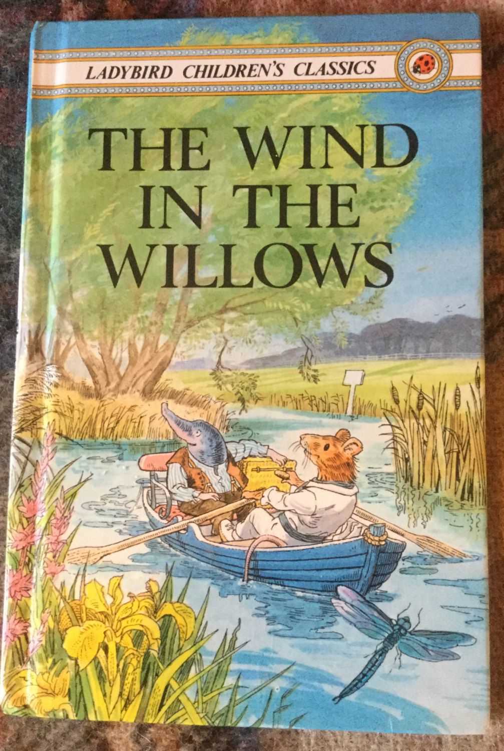 A Cozy and Whimsical Knitting Pattern: Wind in the Willows