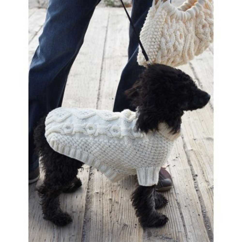 Cozy Coat Pattern for Dachshunds