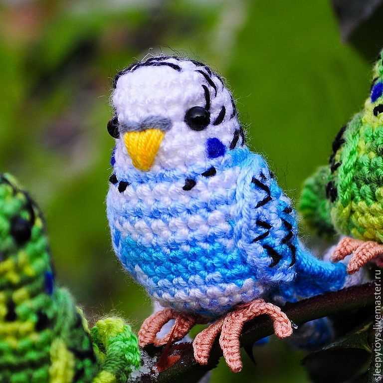 Stylish Patterns for Knitting Budgie